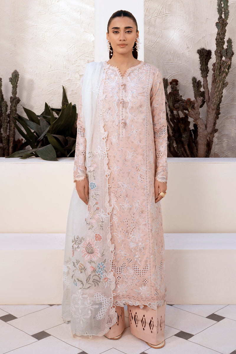 QM-12 Miso – Qalamkar